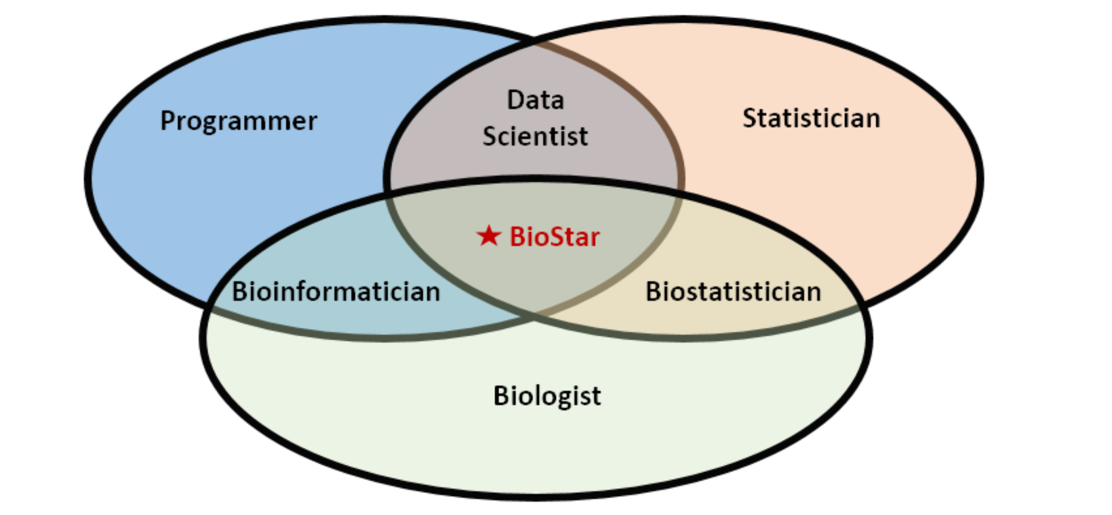 What is The Biostar Hanbook all about? | Junyu's Blog
